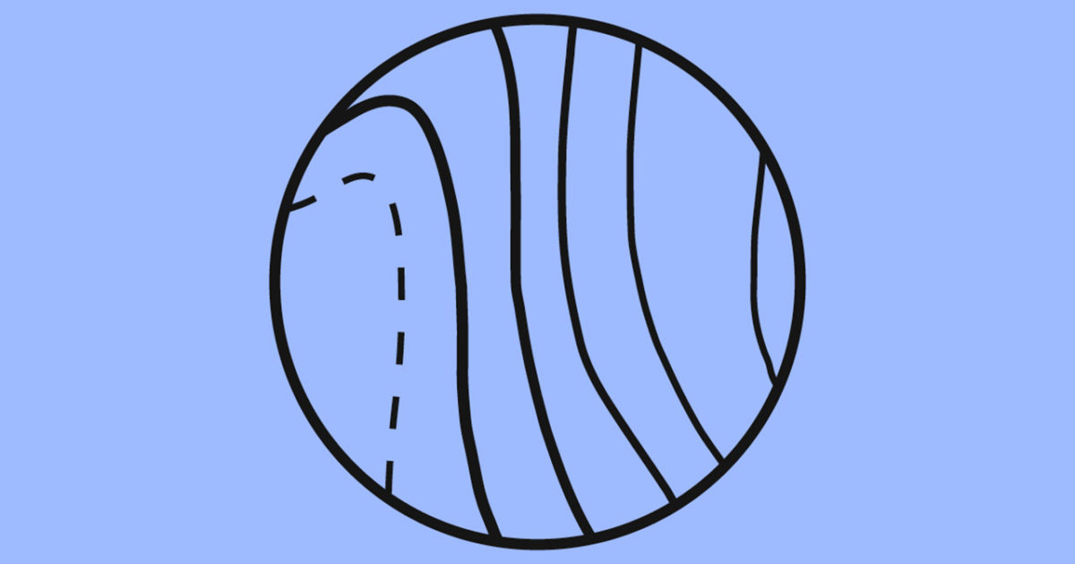 Yearn Stane Rewilding Project: Brand Identity | Tangent | Creative ...