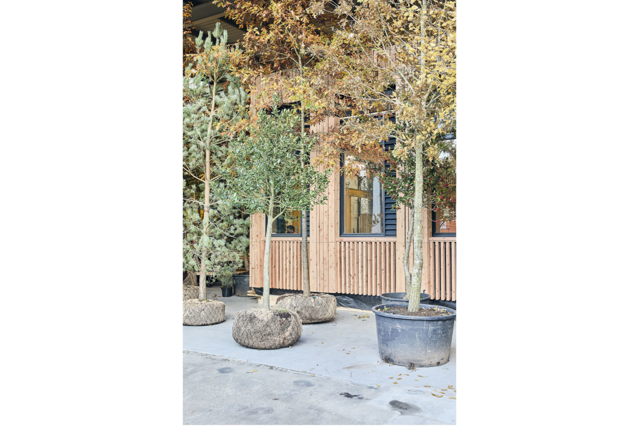 Identity for Low Impact School Buildings Initiative: GenZero | Tangent ...