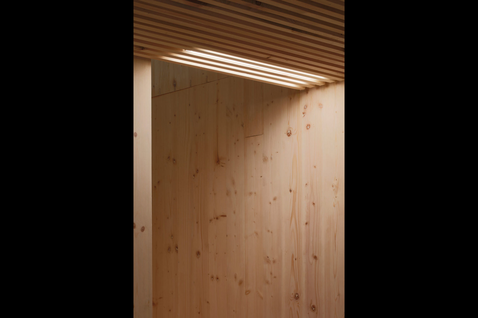 Transforming Timber | Tangent | Creative & Design Agency | Glasgow